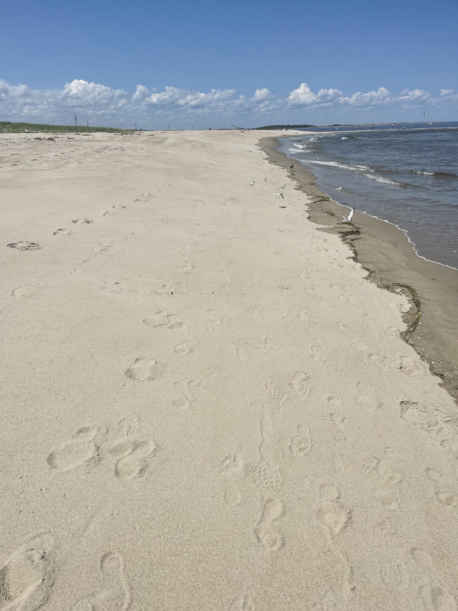 Summer Travel – a spontaneous beach day? - Trendy Mommies